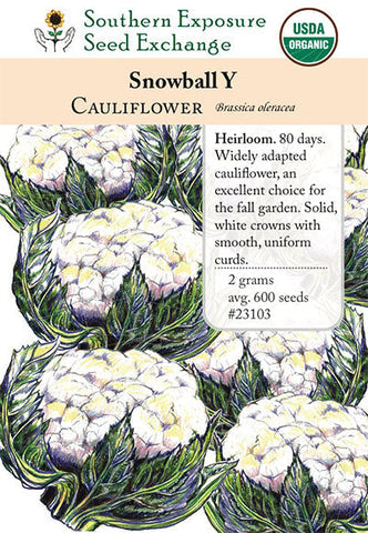 Southern Exposure Seed Exchange -23103 - Snowball Y Cauliflower